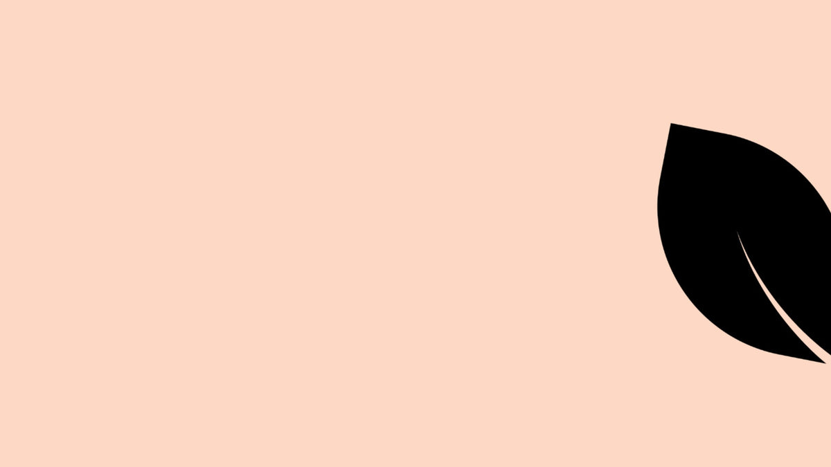 CARE – Fierce Nature